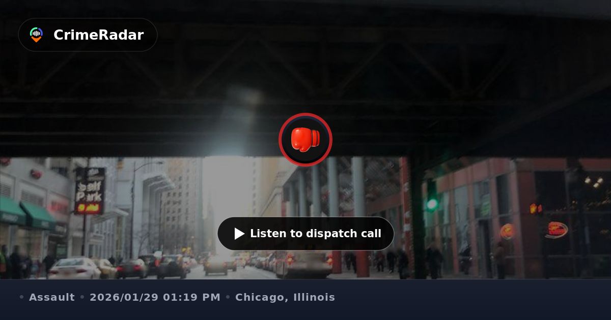 Unconscious woman dragged onto train at Clark and Lake, Chicago IL ...