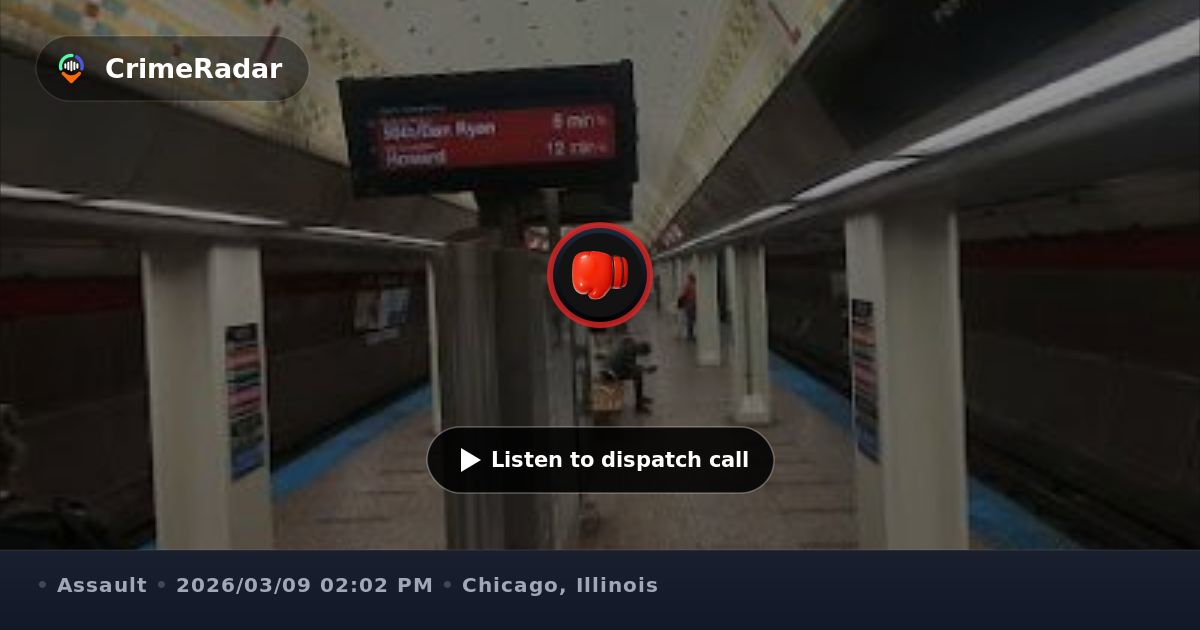 Two people fighting at CTA Red Line platform, Chicago IL | CrimeRadar