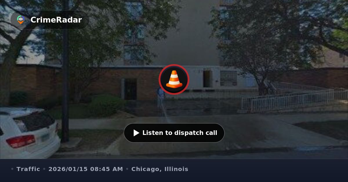 Officers conduct traffic stop near King Dr, Chicago IL | CrimeRadar
