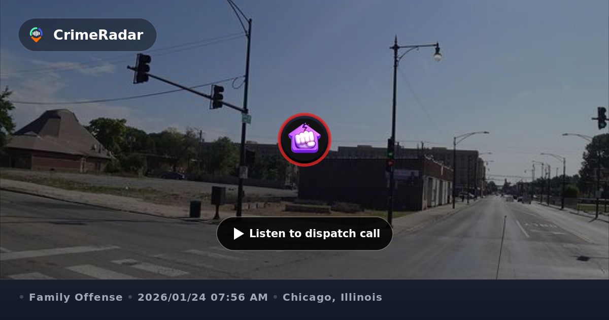 Officers respond to possible armed dispute near State St, Chicago IL ...