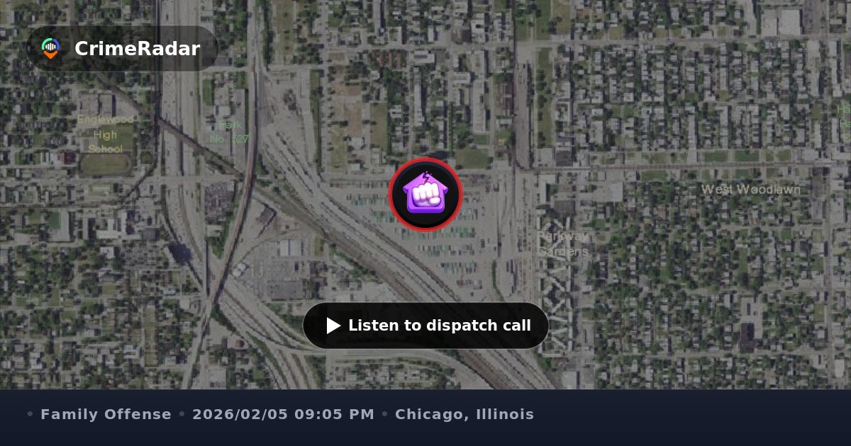 Officers transport possible domestic violence victim, Chicago IL ...