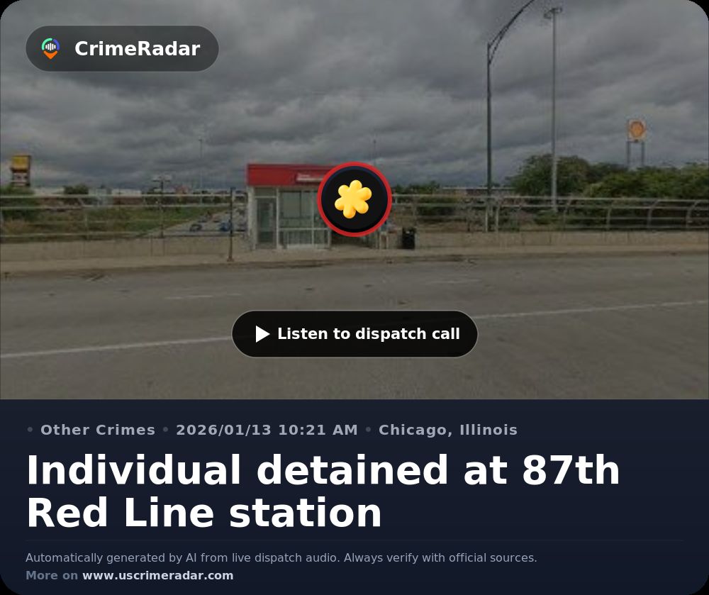 Individual detained at 87th Red Line station, Chicago IL | CrimeRadar
