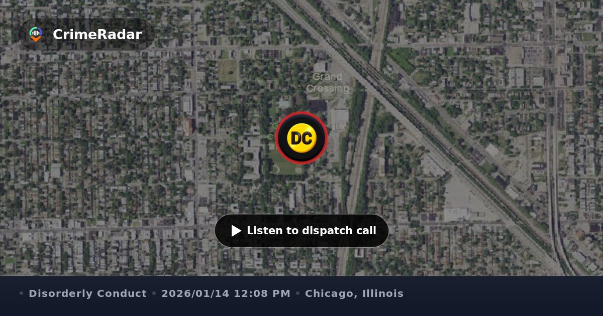 Possible panhandling near S Cottage Grove Ave, Chicago IL | CrimeRadar