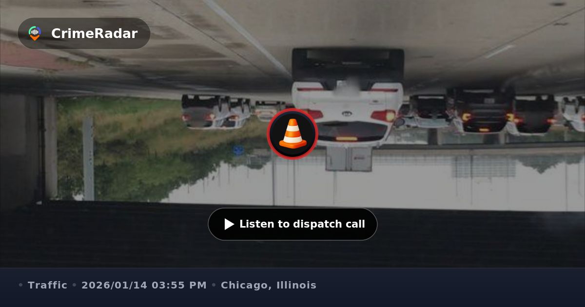 Officers review footage in possible hit-and-run, Chicago IL | CrimeRadar
