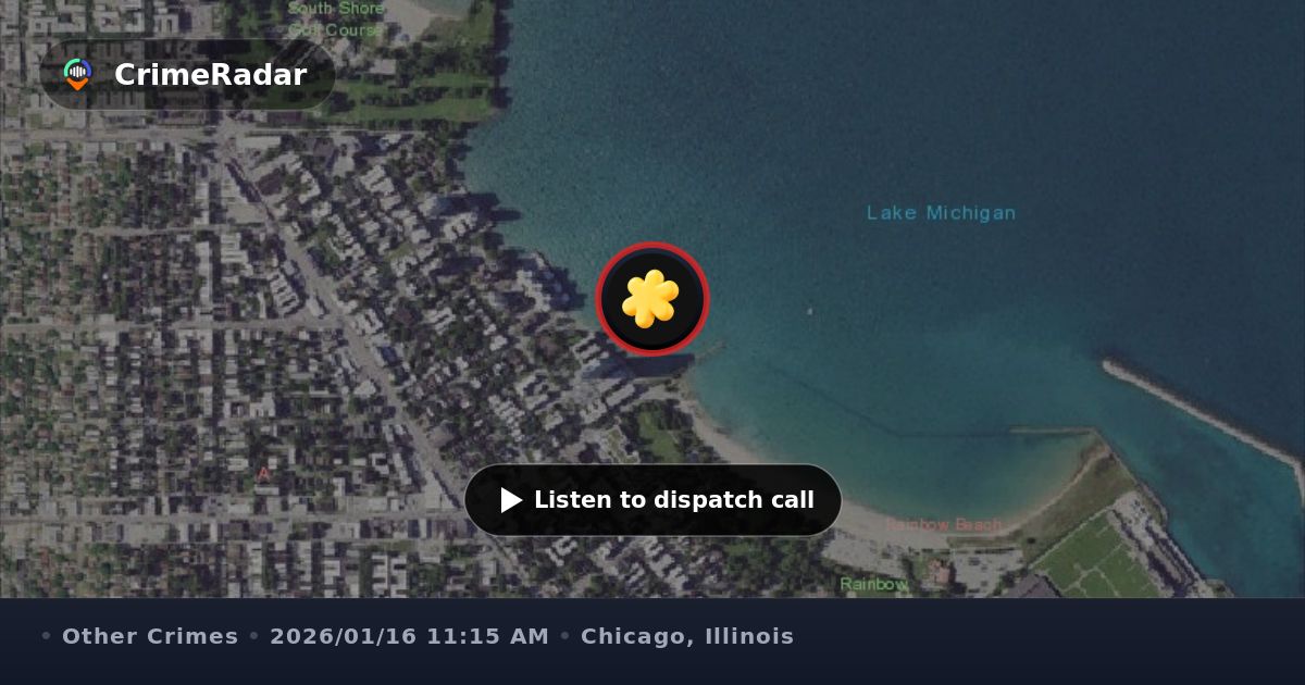 Foot pursuit near Saginaw ends in multiple detentions, Chicago IL ...