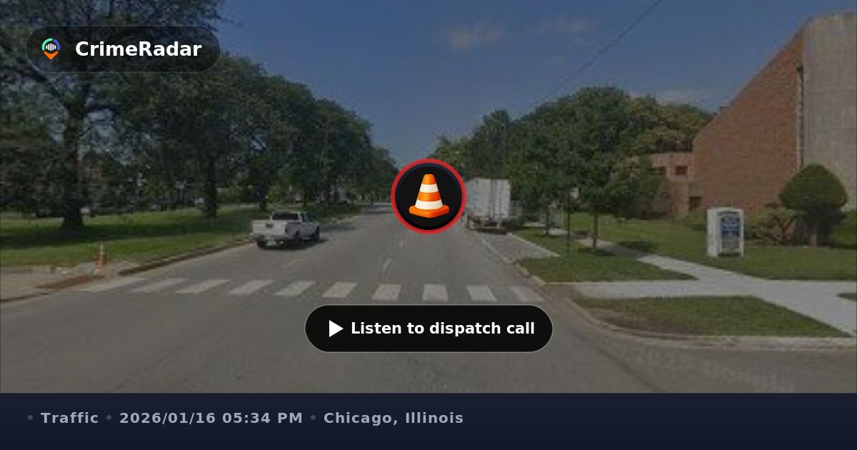 Traffic stop near 84th and Stony Island, Chicago IL | CrimeRadar