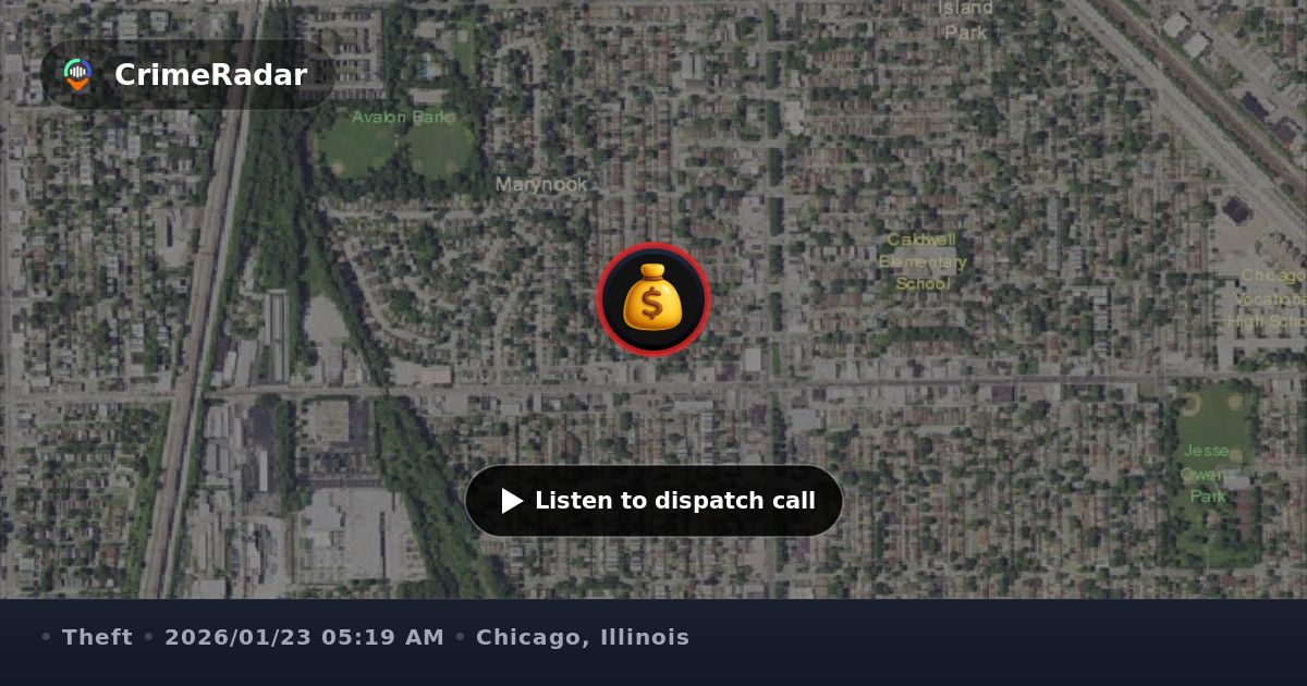 Possible theft at gas station near Stony Island Ave, Chicago IL ...