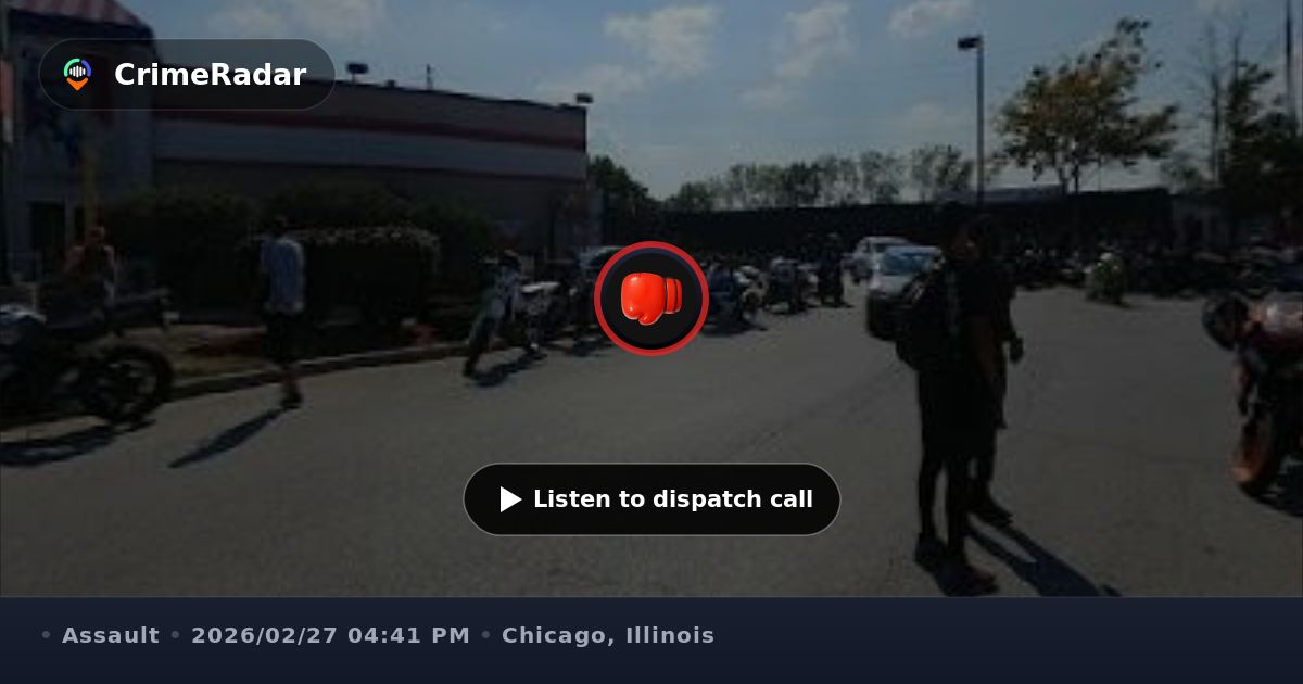 Two people fighting security guard at grocery store, Chicago IL ...