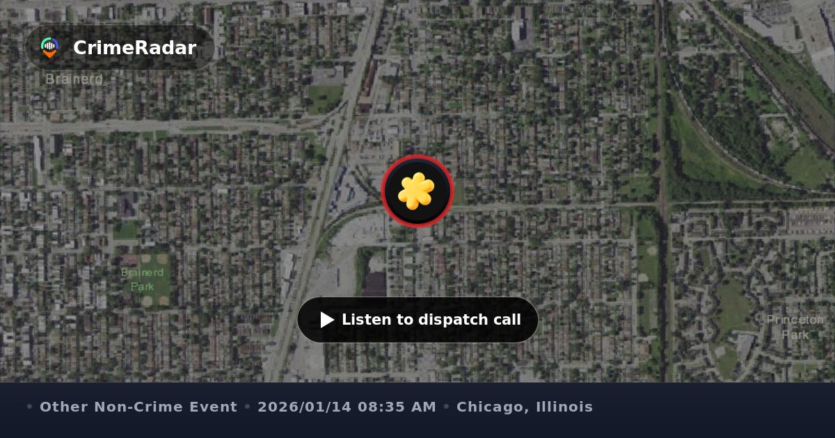 Animal control notified for stray dogs near Peoria St, Chicago IL ...