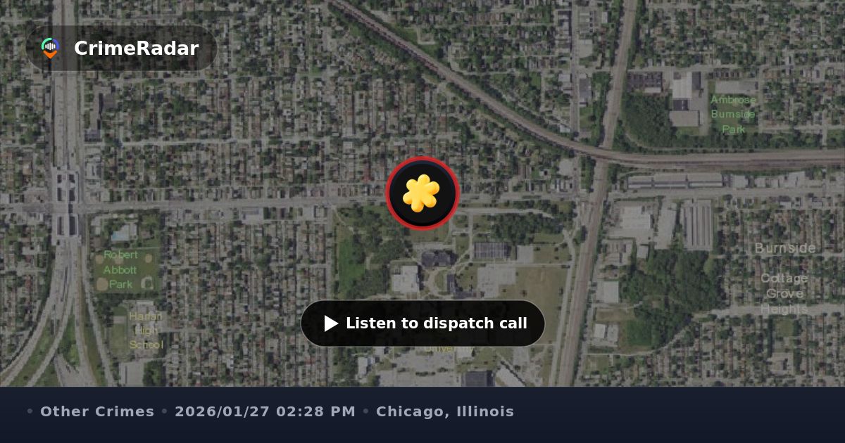 Accidental panic alarm at DMV on South King Dr, Chicago IL | CrimeRadar