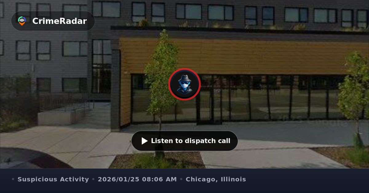 Officers check on person acting erratically near 5th Ave, Chicago IL ...