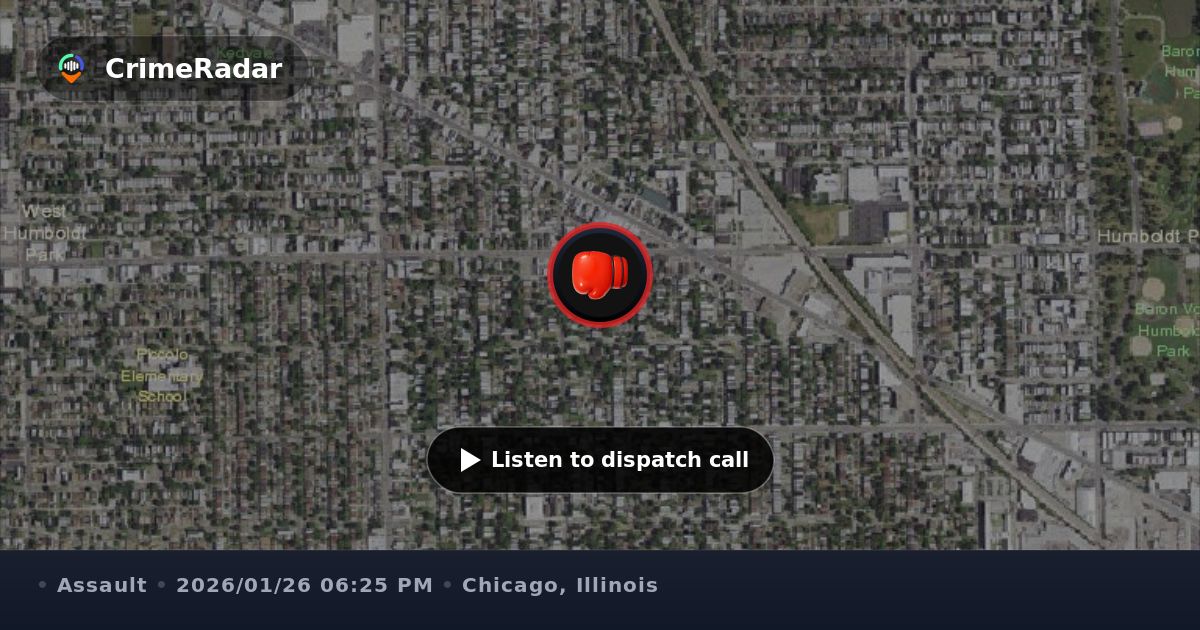 Possible theft and altercation at auto parts store, Chicago IL | CrimeRadar