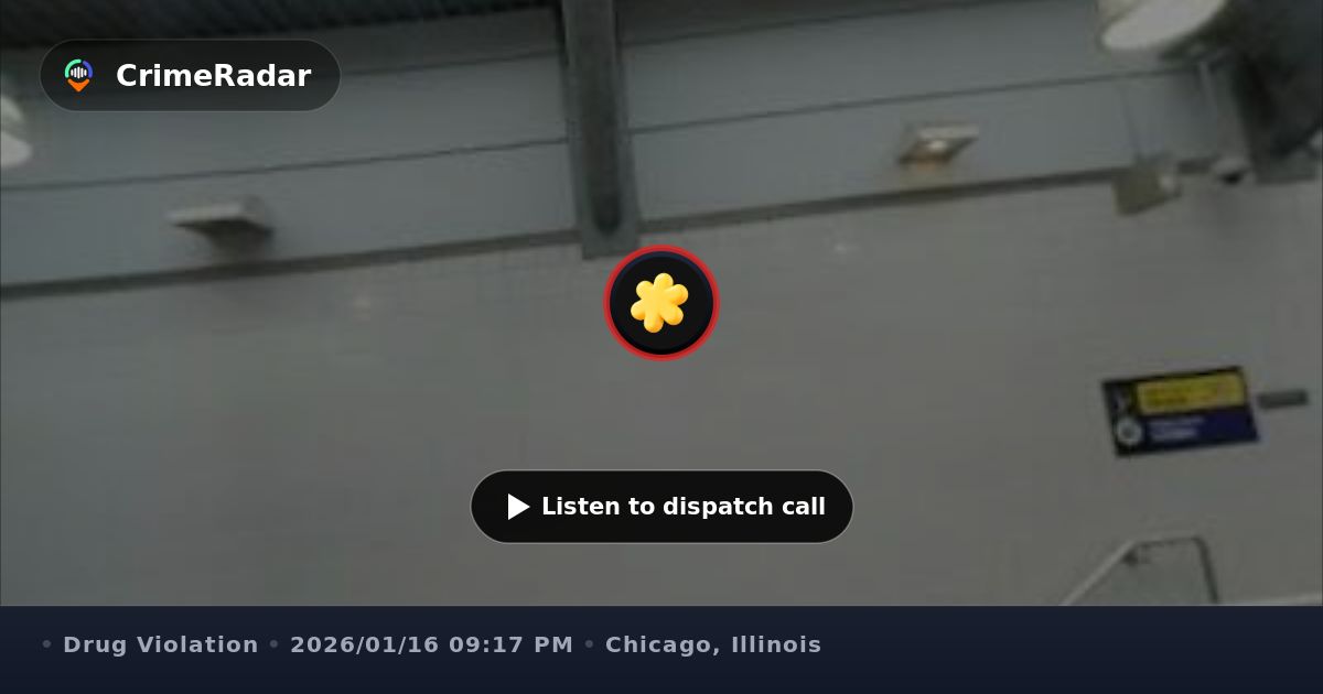 Disturbance near Howard Red Line station, Chicago IL | CrimeRadar