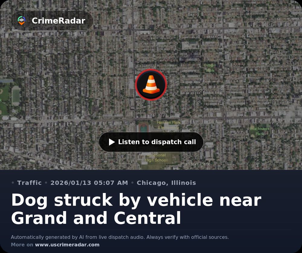 Dog struck by vehicle near Grand and Central, Chicago IL | CrimeRadar