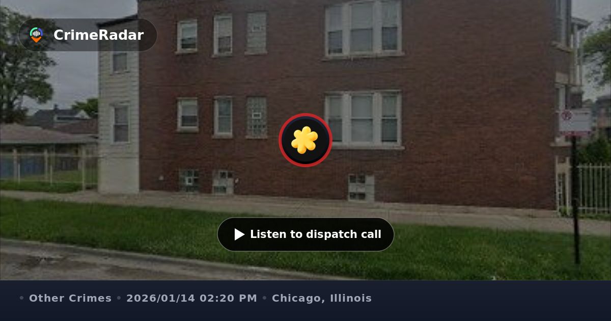 Possible dog attack near Van Buren St, Chicago IL | CrimeRadar
