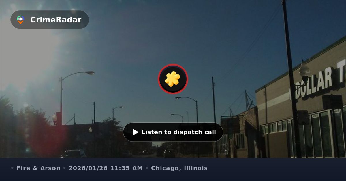 Trash fire behind store on W Diversey Ave, Chicago IL | CrimeRadar