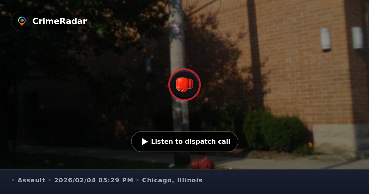 Police respond to assault at Belmont Avenue store, Chicago IL | CrimeRadar