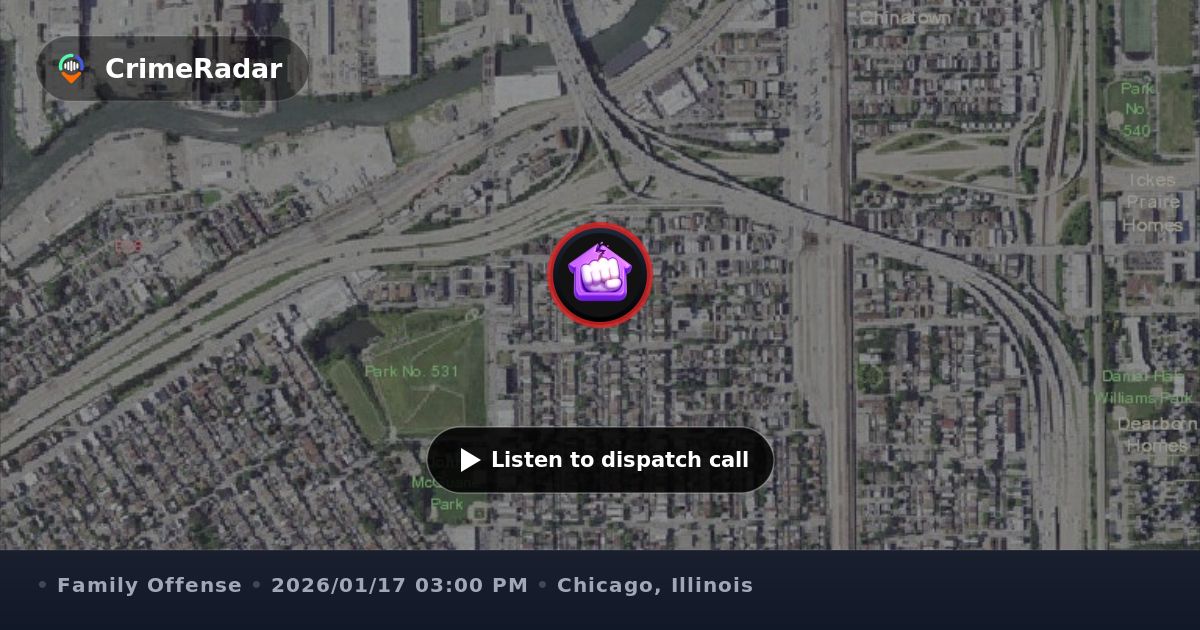 Apparent domestic dispute at gas station near Halsted, Chicago IL ...