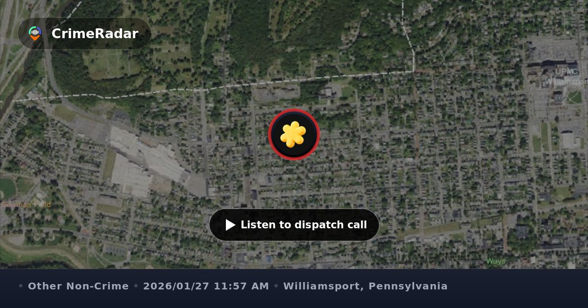 Woman reports lost medications near High St, Williamsport PA | CrimeRadar