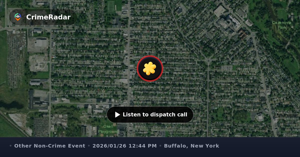 Hydrant damaged at South Park and Sheffield, Buffalo NY | CrimeRadar