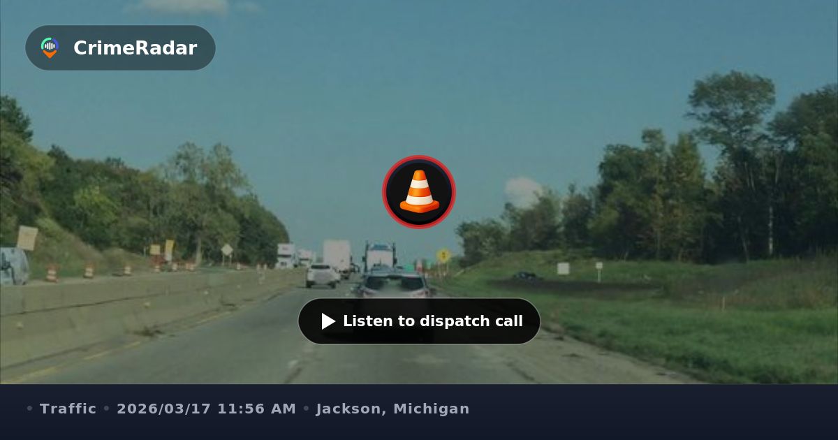 Driver arrested during traffic stop on US-127, Jackson County MI ...