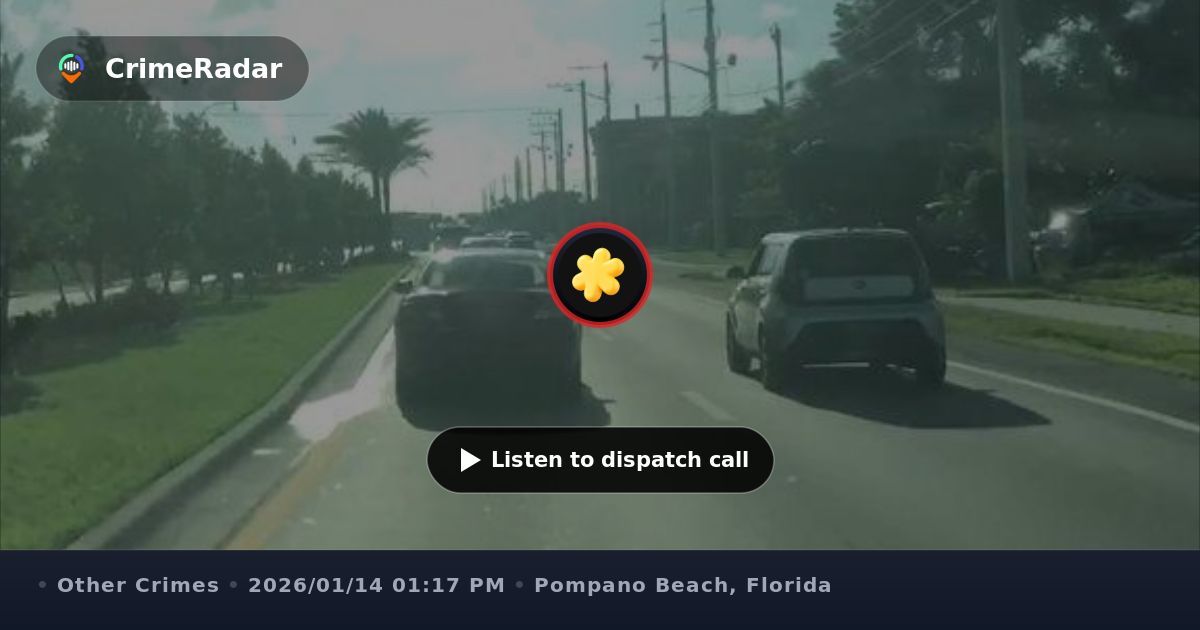 Officers assist with stray animal near MLK Jr Blvd, Pompano Beach FL ...