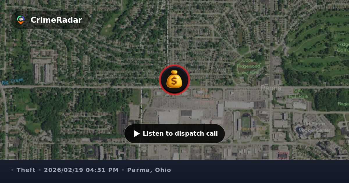 Teen steals items from store on West Ridgewood Drive, Parma OH | CrimeRadar