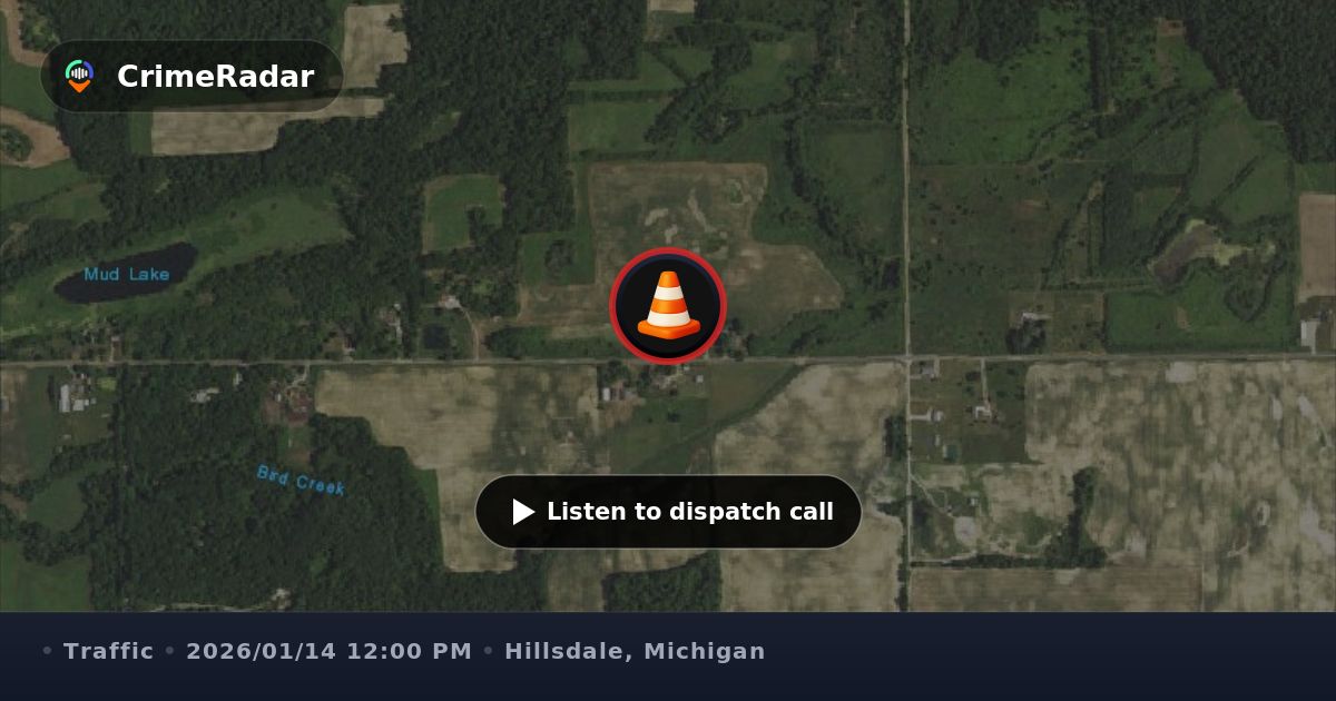Vehicle slides off road near Bird Lake Rd, Hillsdale County MI | CrimeRadar