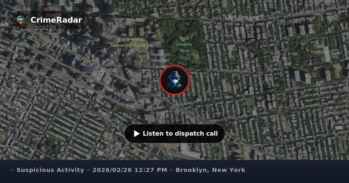 Suspicious person reported near Livingston and Flatbush, Brooklyn NY ...