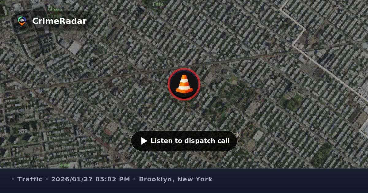 Officers conduct traffic stop near Linden St, Brooklyn NY | CrimeRadar