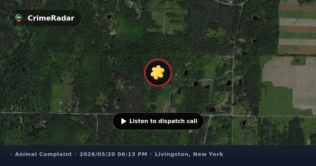 Report of missing dog on Street Road, Livingston County NY | CrimeRadar