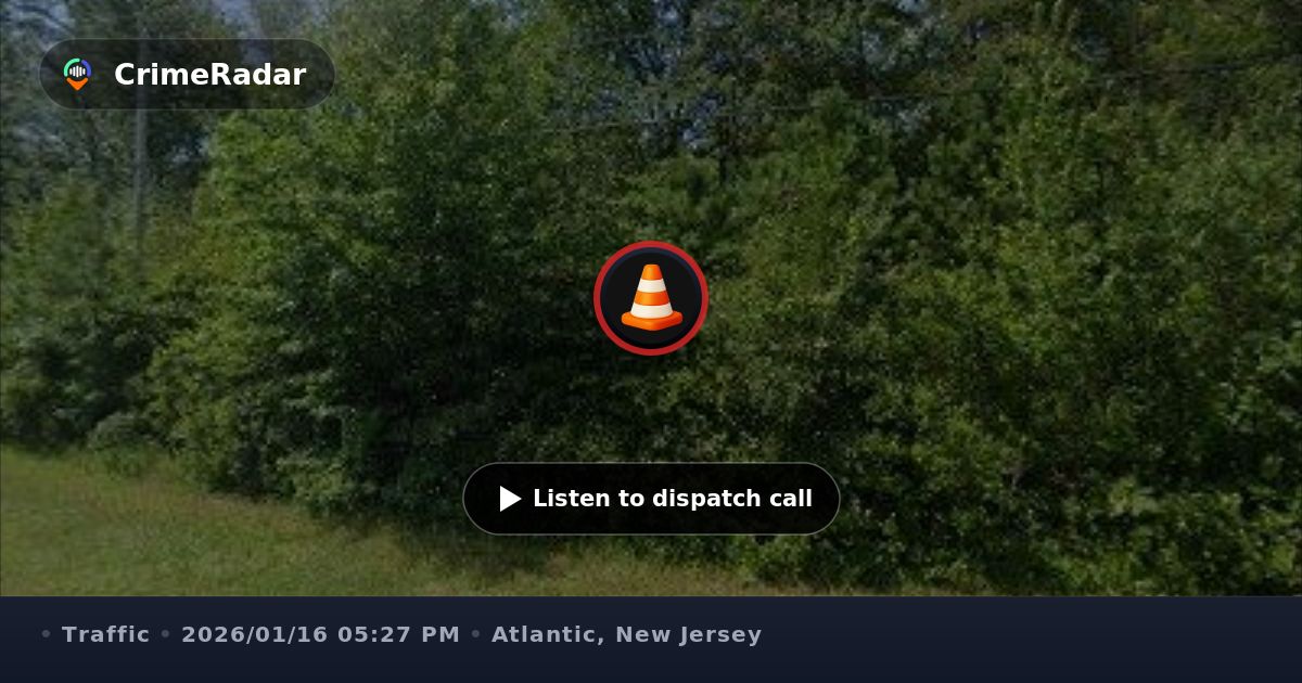 Erratic driver spotted near Tuckahoe Rd, Atlantic County NJ | CrimeRadar