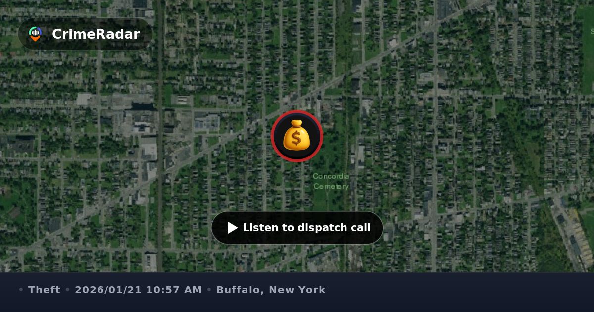 Possible theft from vehicle near Walden Ave store, Buffalo NY | CrimeRadar