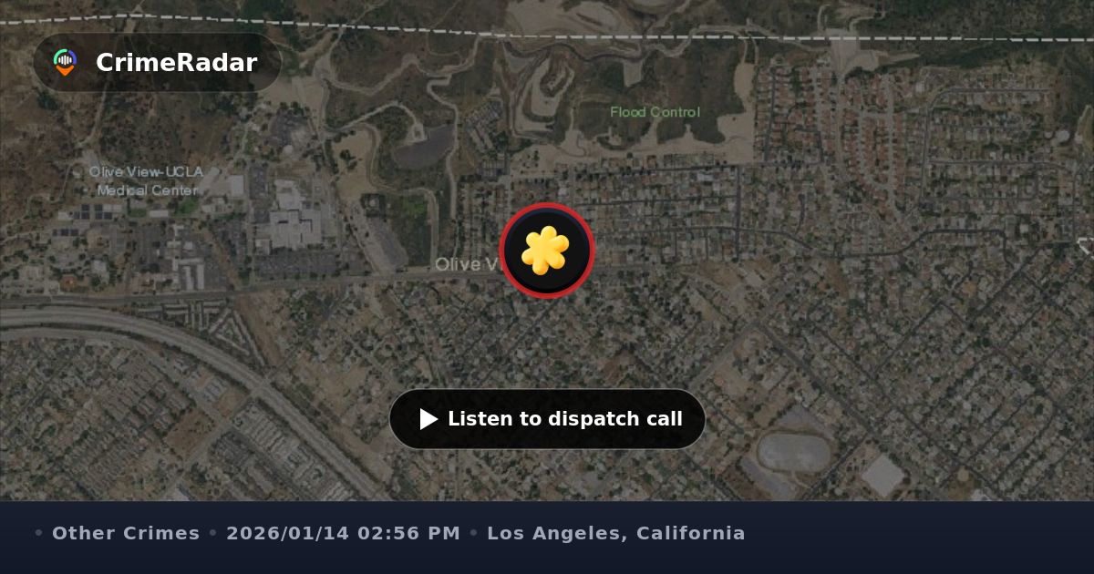 Deputies check on possible power complaint near Tyler St, Los Angeles ...