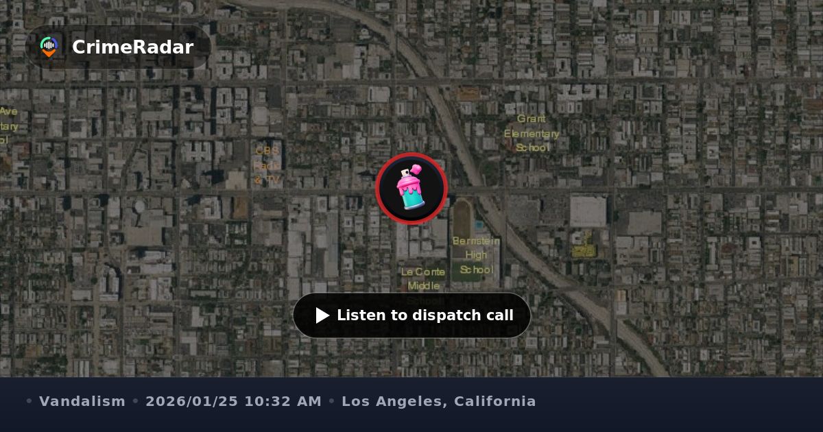 Vandalism suspects seen near Sunset and Wilton, Los Angeles CA | CrimeRadar