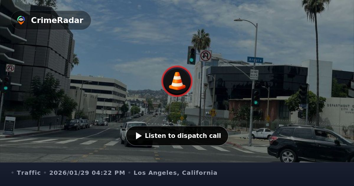 Man lying in road causes traffic issue near Yucca St, Los Angeles CA ...