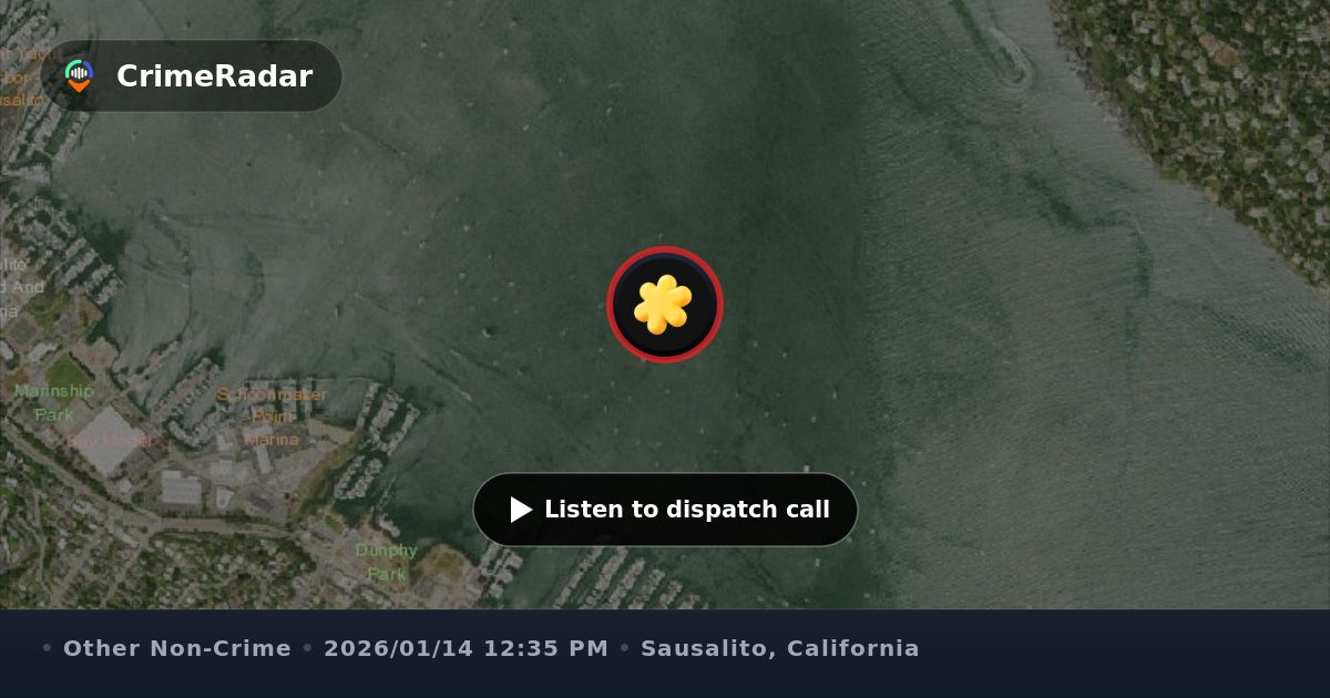 Officer issues warning after flag down on Pine St, Sausalito CA ...