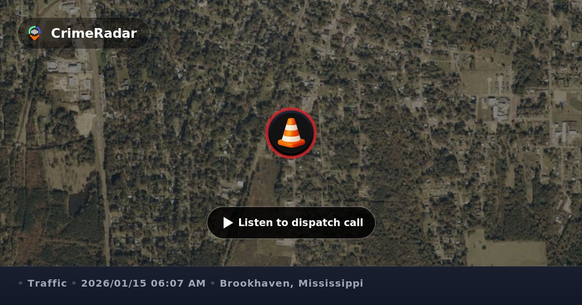 Tree limb falls on vehicle near South First St, Brookhaven MS | CrimeRadar