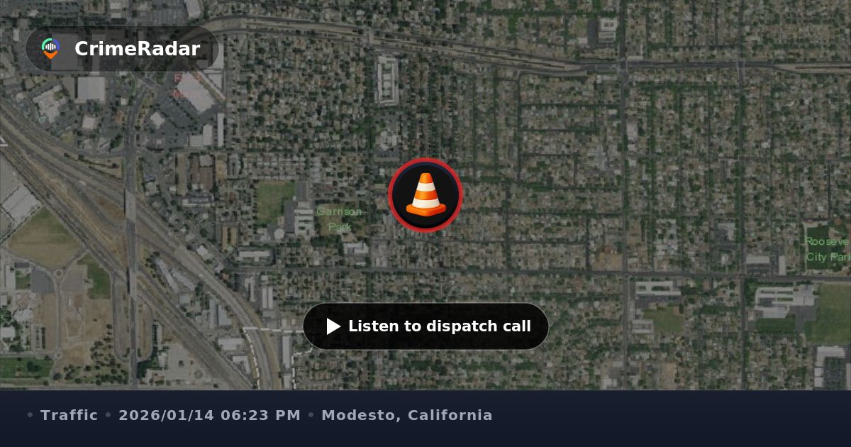 Dog reportedly struck by car near West Roseburg Ave, Modesto CA ...