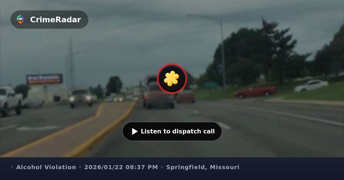 Possible impaired driver near National and Chestnut, Springfield MO ...