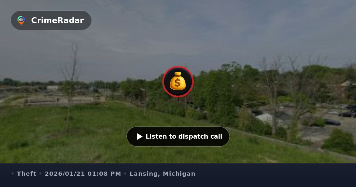 Possible larceny of license plate near East Michigan Ave, Lansing MI ...