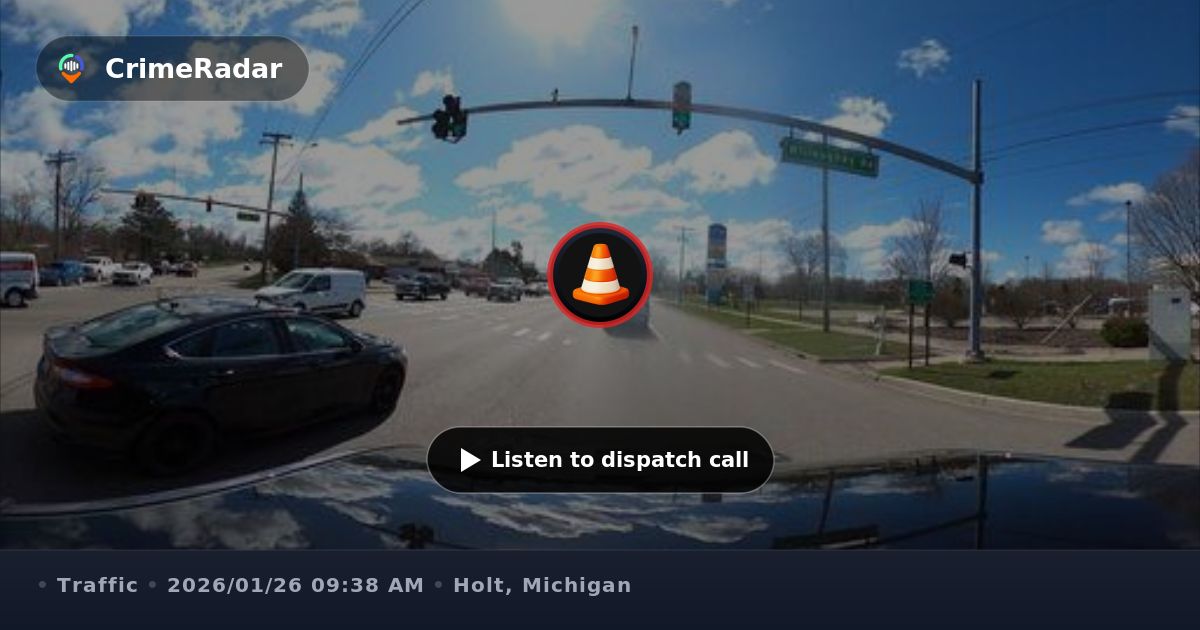 Traffic light malfunction at Willoughby and Cedar, Holt MI | CrimeRadar