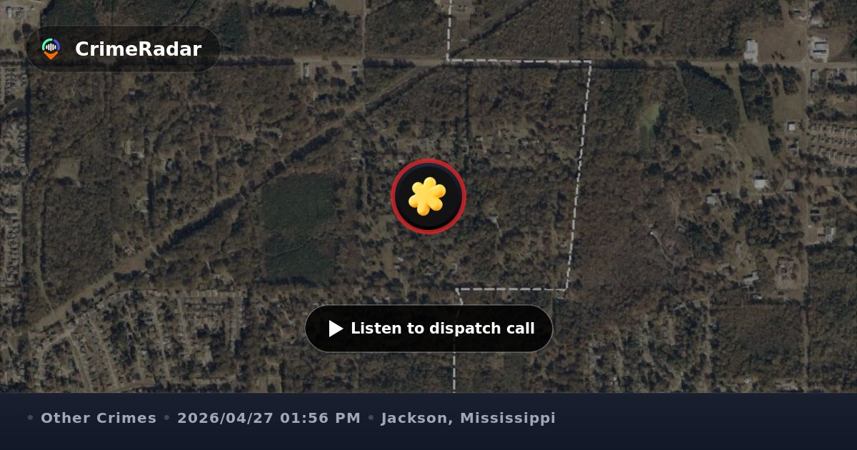 Dispute over $900 between family members in Jackson, Jackson MS ...