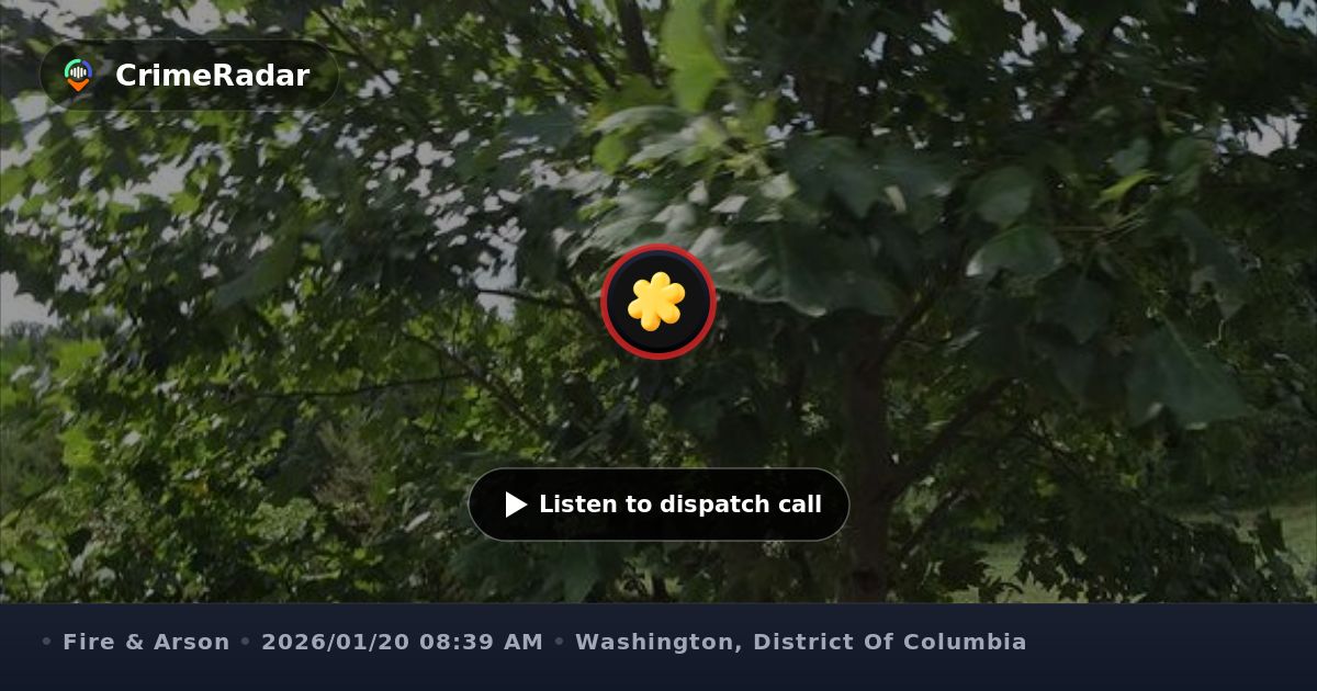 Chimney fire reported near Hampton Valley Rd, Washington DC | CrimeRadar
