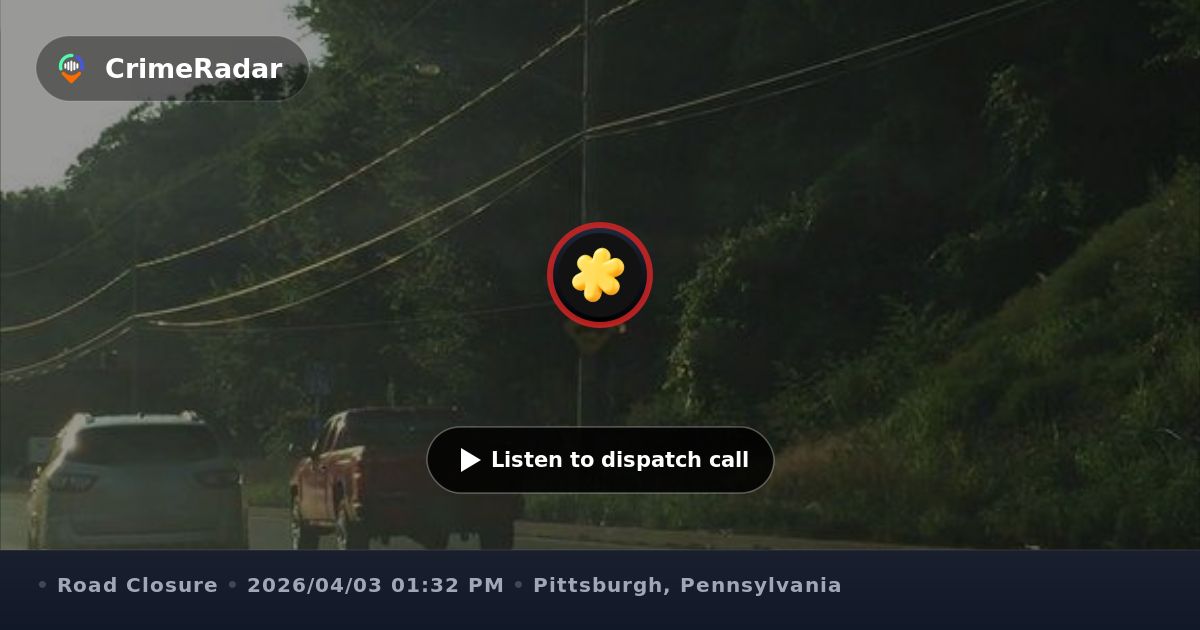 Unstable trees hanging over roadway on Woodruff St, Pittsburgh PA ...