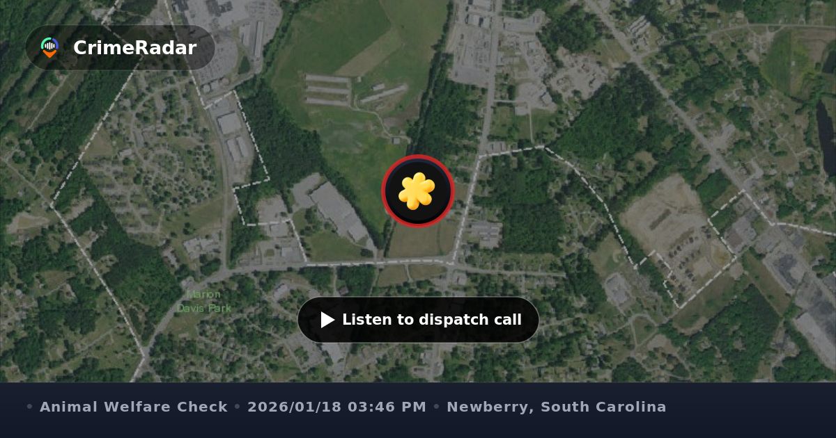 Deputies conduct animal welfare check near Milne Ave, Newberry SC ...