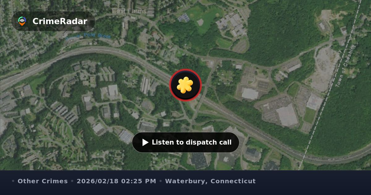 Officers check area for missing dog, Waterbury CT | CrimeRadar