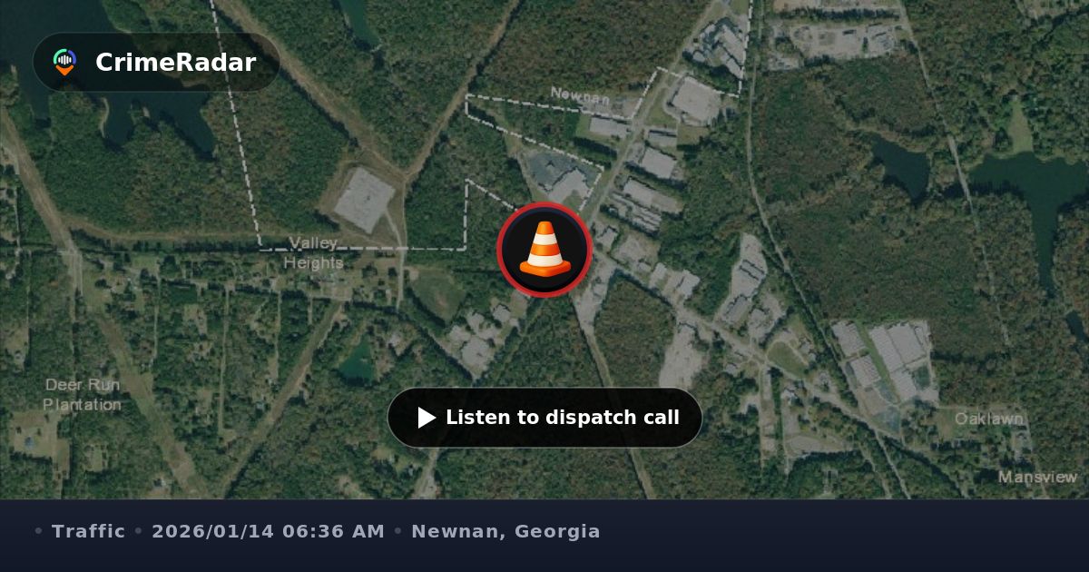 Deputies assist with vehicle follow-up near Pine Rd, Newnan GA | CrimeRadar