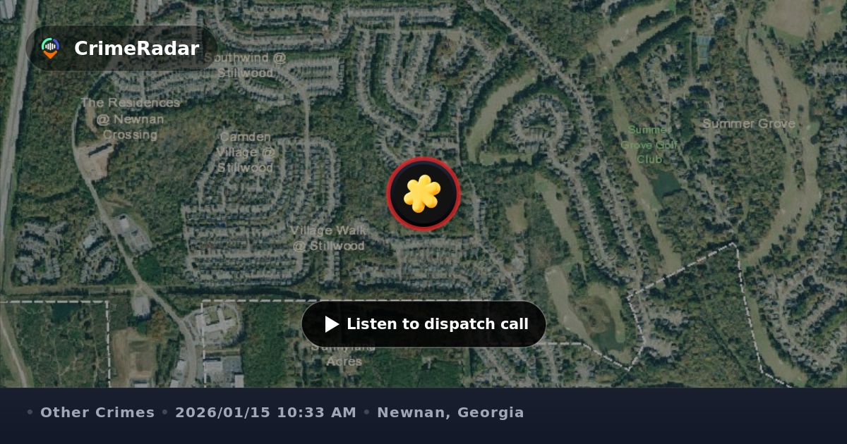 Deputy checks parked vehicle near Horizon Hill, Newnan GA | CrimeRadar