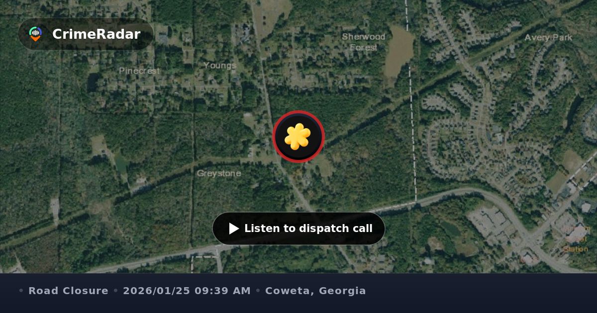 Tree down causes outage near Hospital Rd, Coweta County GA | CrimeRadar
